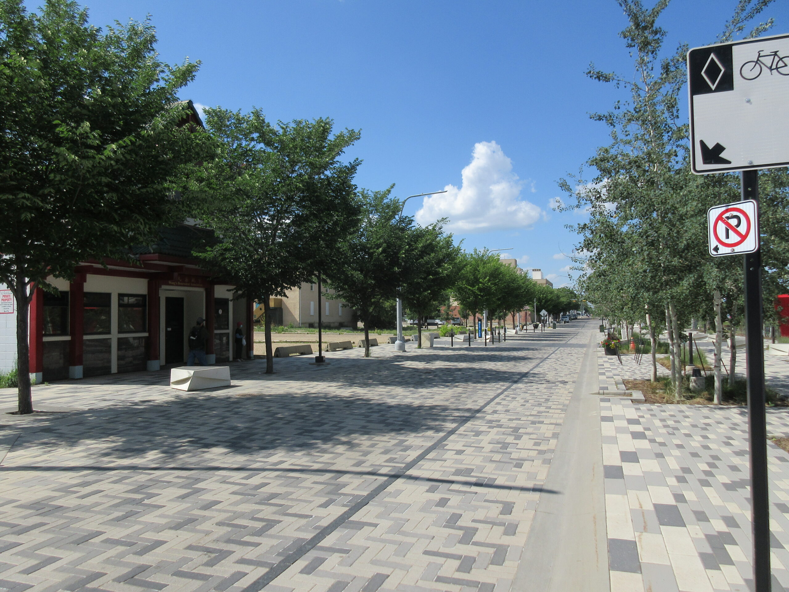 Over 4,000 Silva Cells Support 90 Trees Along New Edmonton ‘Green ...